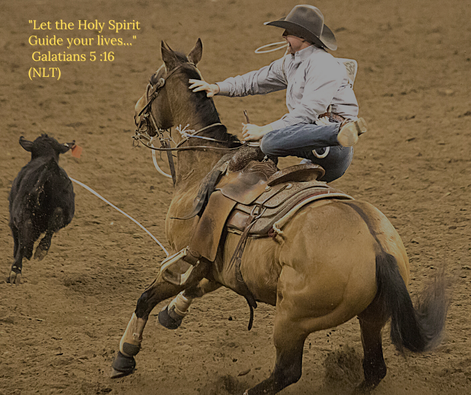 This Aint My First Rodeo